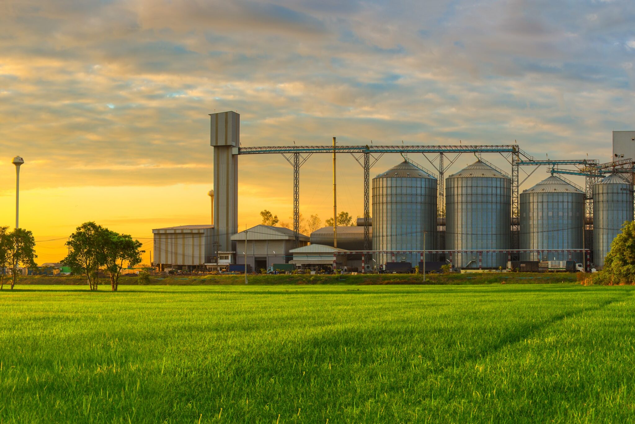Food Manufacturing: The Complete guide (2024) — Katana