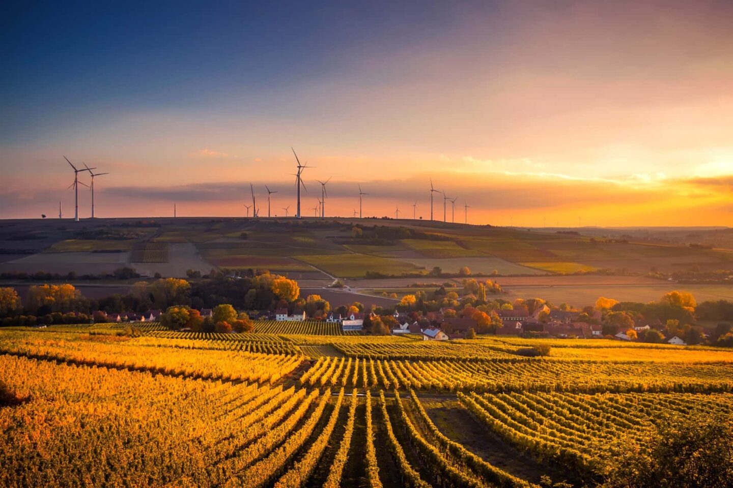 Green Warehousing: Paving a Sustainable Future — Katana